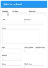 Salesforce Lead Example Forms & Templates | Formsite