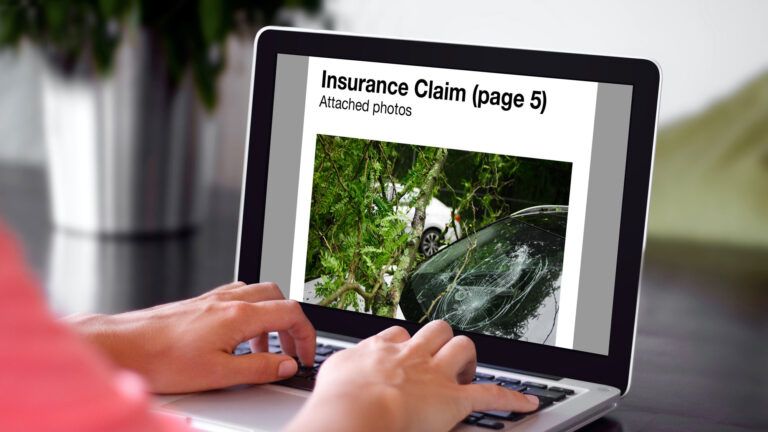 Create A Custom Pdf With Images And Text From Results Formsite