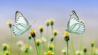 Prevent Duplicate Submissions with the Unique Setting - Formsite