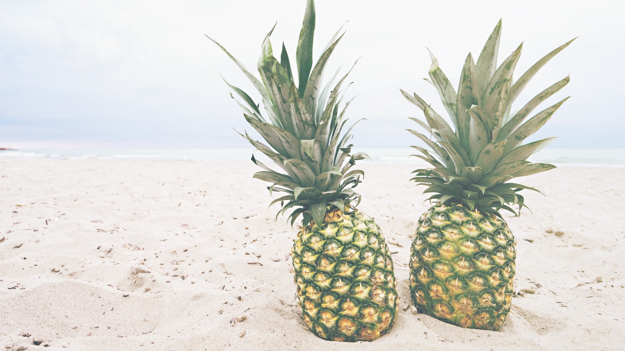 Copy Form With or Without Settings and Integrations - Formsite