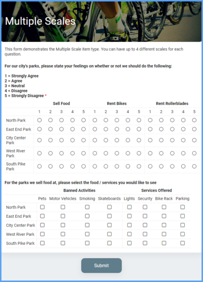 Multi-scale Example Forms & Templates | Formsite