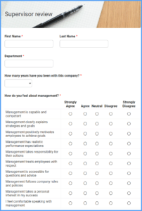 Supervisor Evaluation Form Template | Formsite
