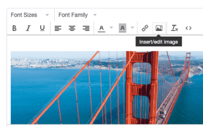 Mobile Code Examples for Sizing Images and Responsive HTML - Formsite